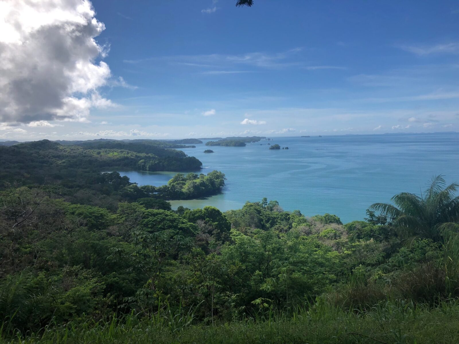 Selva Terra: The Island of Boca Brava - Panama Island Vacation