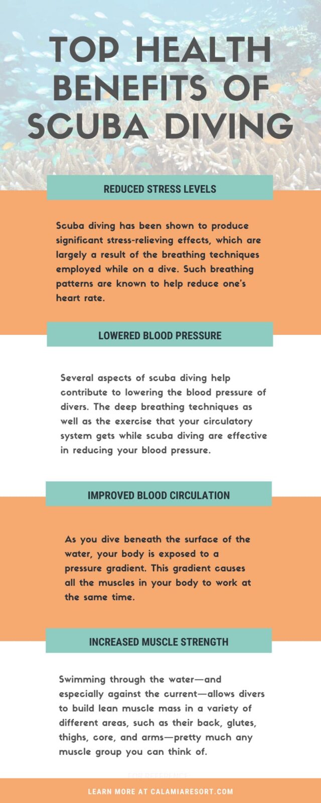 Top Health Benefits of Scuba Diving