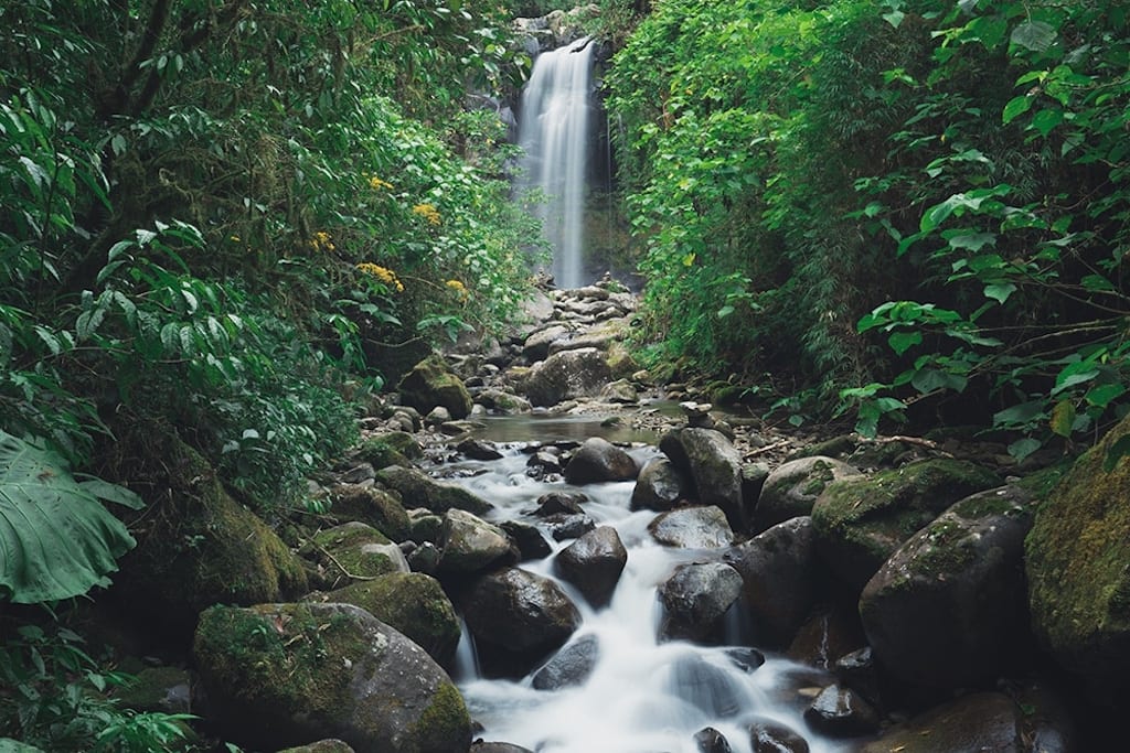 Essential Items to Bring on Your All-Day Hiking Adventure