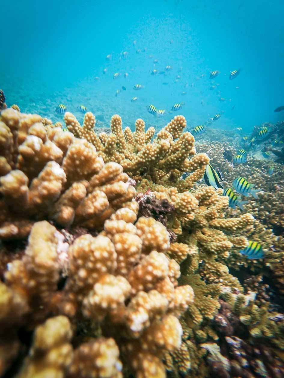 Selva Terra: Panama's Top Nature Tours All in One Place!