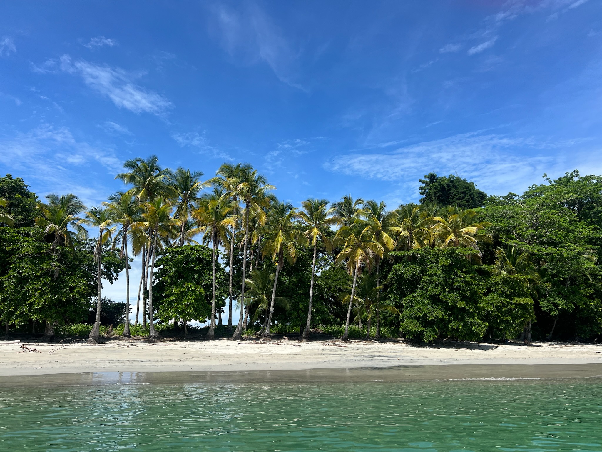 Selva Terra: A Guide to the Best Beaches in Panama